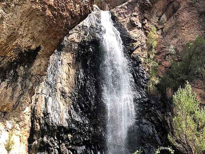 Water cascades down a moss-covered cliff in the desert, a sight so unexpected it feels like discovering Narnia's wardrobe.