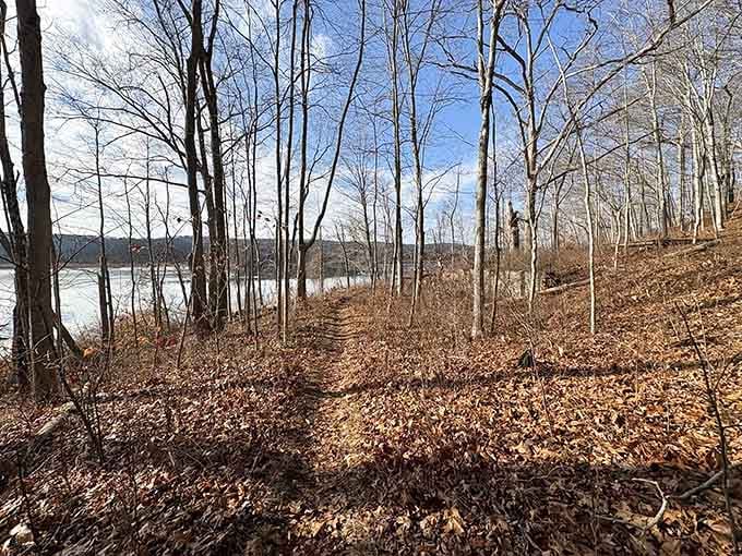 Frozen lake views peek through bare branches on this winter trail where crisp air makes everything feel refreshingly alive.