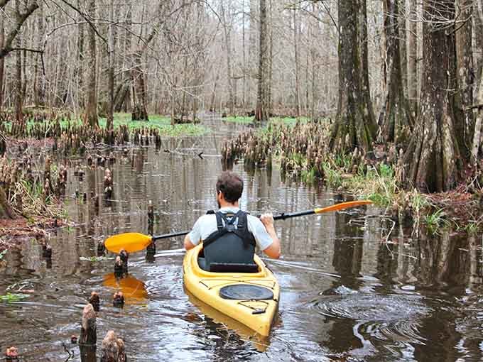 Paddling through flooded forests feels like discovering Narnia, minus the talking beavers and Turkish delight.
