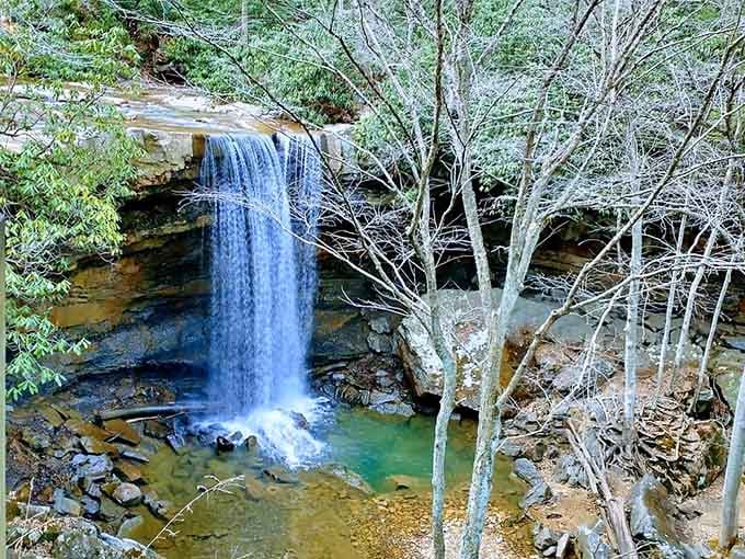 Cucumber Falls drops into an emerald pool surrounded by ghostly white branches&mdash;nature's own winter wonderland palette.