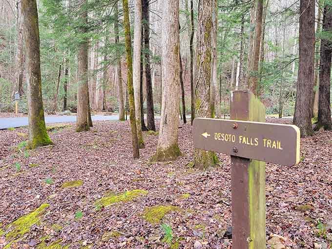 Moss-covered trees and a rustic trail sign point the way to cascading water and mountain magic.
