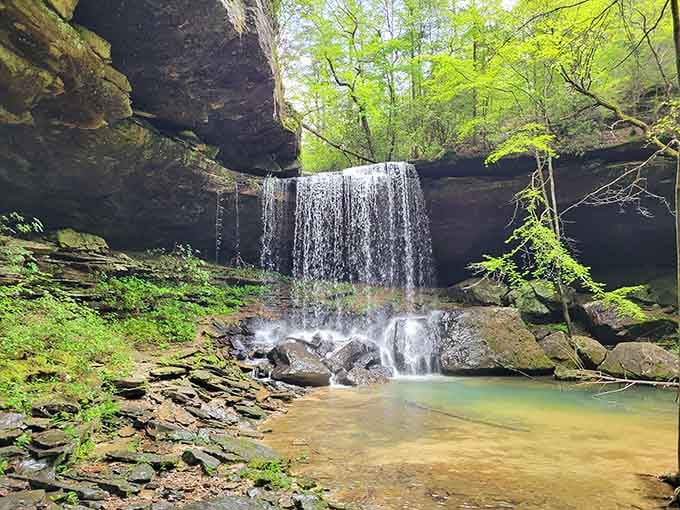 Water cascades over moss-covered rocks into a crystal-clear pool that looks like it belongs on a postcard.
