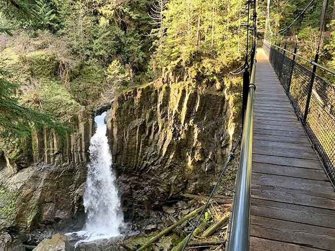 That suspension bridge stretches across the canyon like a scene from Indiana Jones, minus the danger.