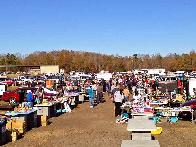 Autumn sunshine bathes outdoor stalls where crowds gather like it's the world's friendliest block party.
