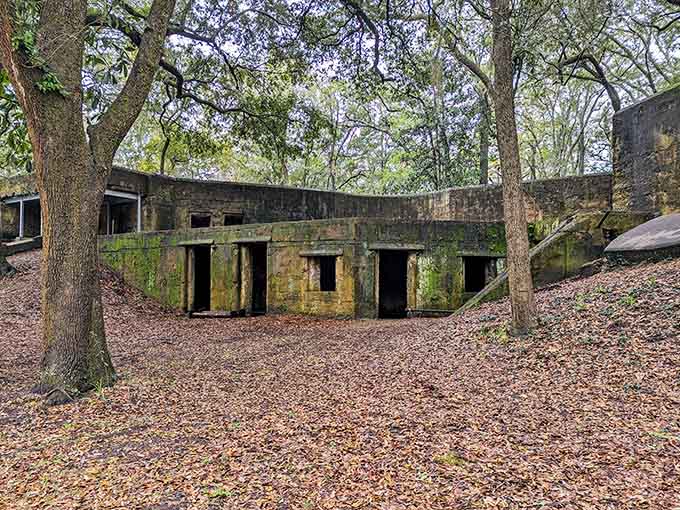 Concrete bunkers emerge from the leaf-covered ground like sleeping giants from a forgotten war, still standing guard.