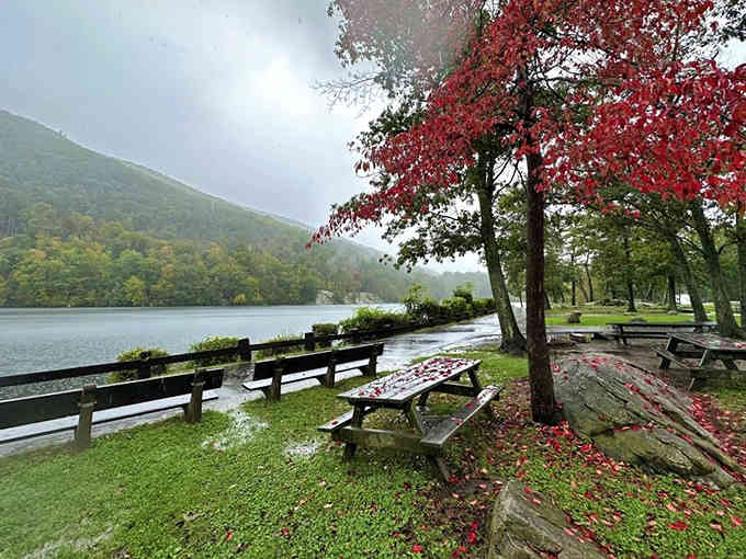 Even on a misty day, this lakeside picnic spot with its crimson leaves feels like a postcard come to life.