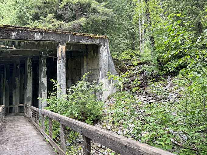 Concrete and moss merge where nature reclaims what industry left behind, creating an unexpectedly beautiful post-apocalyptic landscape scene.
