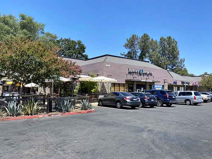 Bavaria called and said they're missing a biergarten—turns out it's been hiding in Rocklin all along.