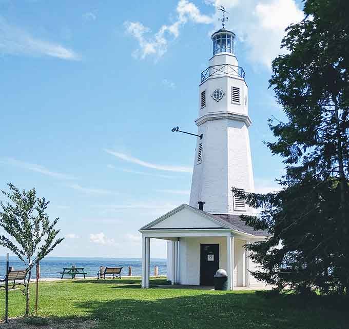 Those park benches facing the water offer front-row seats to nature's greatest show, with the lighthouse stealing every scene.