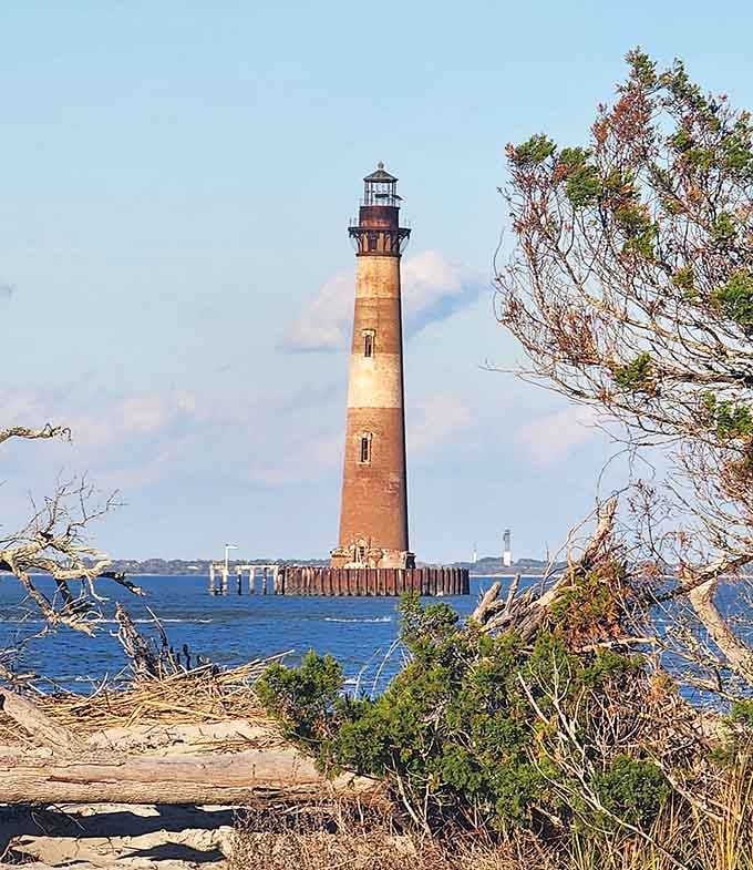 Framed by windswept branches and sandy dunes, this distant tower creates a scene worthy of any gallery.