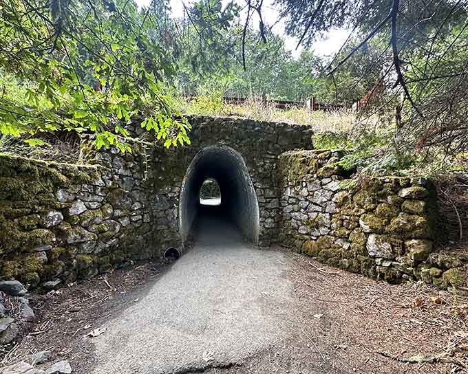 This moss-covered stone tunnel beckons like a secret passage, promising adventure on the other side for curious explorers.