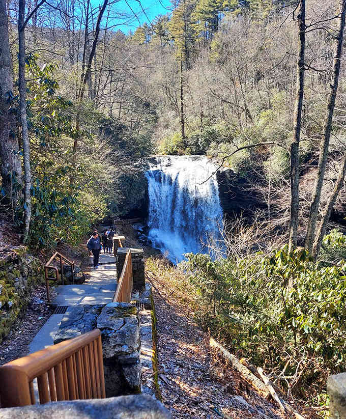 The wooden viewing platform leads your eye straight to that powerful cascade tumbling through the winter forest.