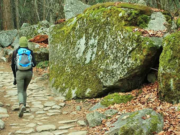 Moss-covered boulders line the trail like ancient guardians, their green coats softer than your favorite cardigan.