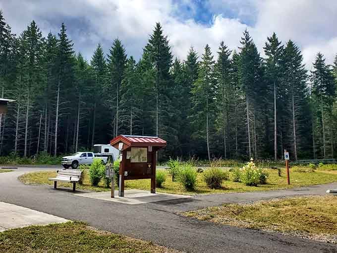 Towering pines frame the peaceful entrance where a simple information kiosk welcomes visitors to forest adventures ahead.