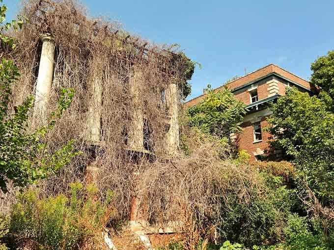 Vines cascade down brick walls like nature's curtain, slowly reclaiming what time and weather have already begun erasing.