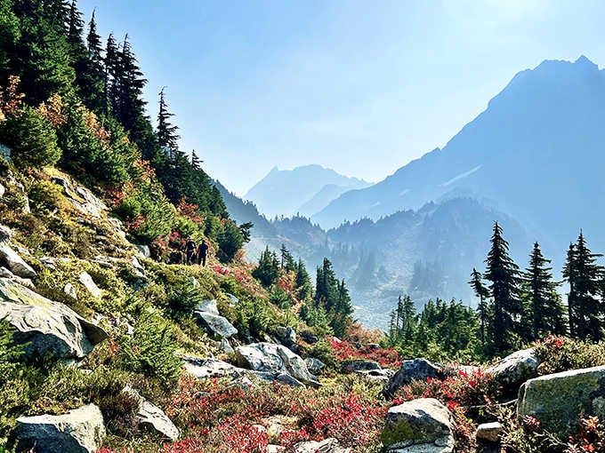 Misty mountain layers fade into the distance like a Chinese scroll painting come to life in Washington.