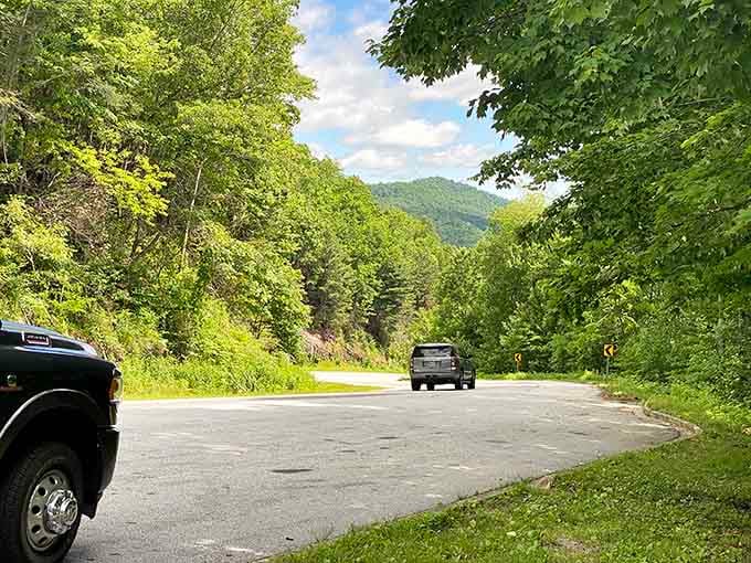 The winding road ahead disappears into green mountains, inviting you to follow where curiosity and adventure meet.