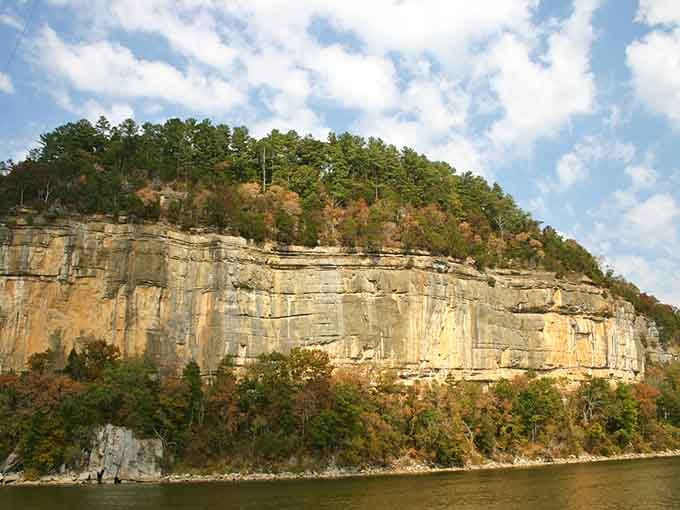 Those layered rock bands stacked up the cliff face tell millions of years of Earth's history better than any textbook.