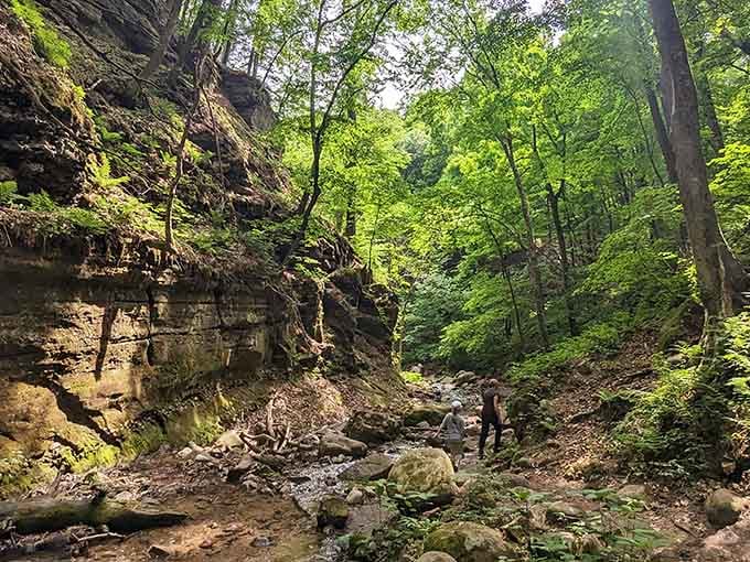 Towering rock walls embrace a hidden gorge where moss clings to ancient stone like nature's velvet wallpaper.