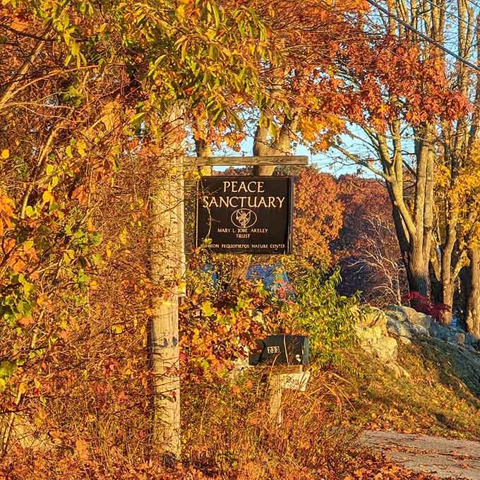 Autumn's golden hour transforms this peaceful entrance into a warm invitation to leave your worries behind.