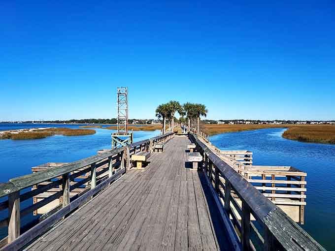 Weathered planks stretch across blue waters toward palm-dotted marshlands, creating the perfect spot for peaceful contemplation.
