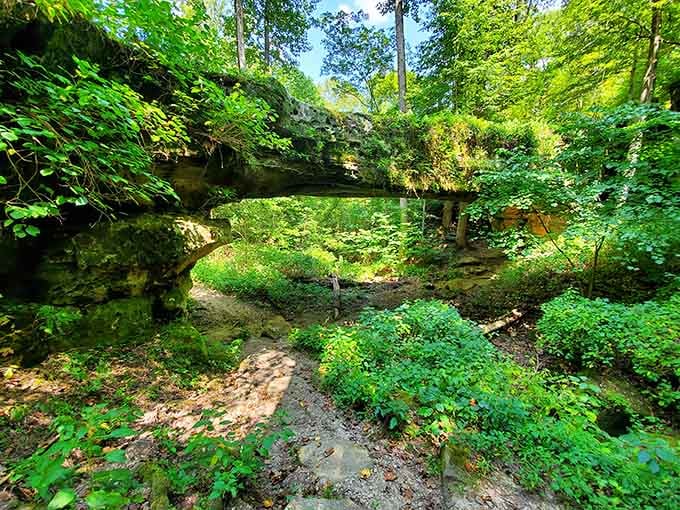 Nature's architecture spans the forest floor as this massive stone bridge demonstrates the patient artistry of water and time.