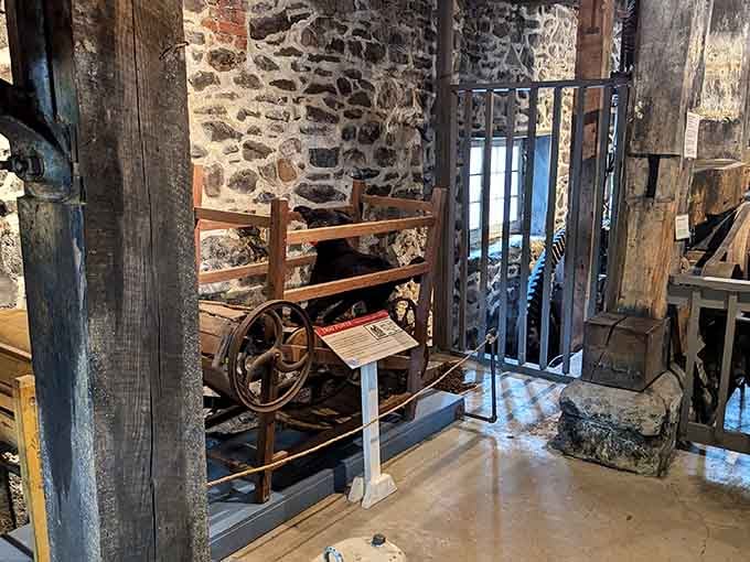 Weathered wooden beams and antique farm equipment tell stories of rural life before electricity changed everything forever.