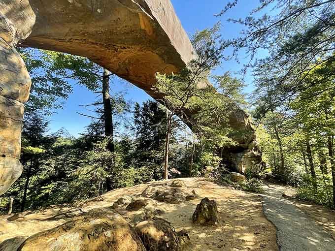 This natural stone archway proves that the best architecture sometimes requires absolutely zero blueprints or building permits whatsoever.