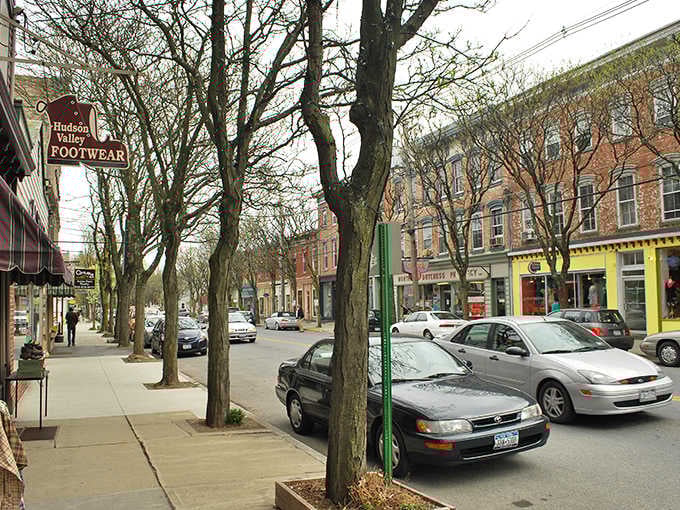 Winter branches reach across the street like neighbors holding hands – community spirit made visible and beautiful.
