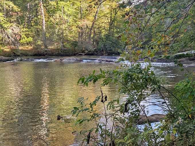 Golden reflections dance on calm waters while gentle rapids provide nature's own background music for contemplation.