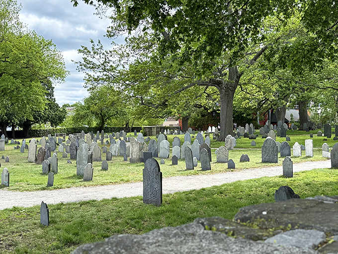 Ancient headstones lean at gentle angles beneath towering trees, creating a peaceful garden where history literally rests beneath your feet.