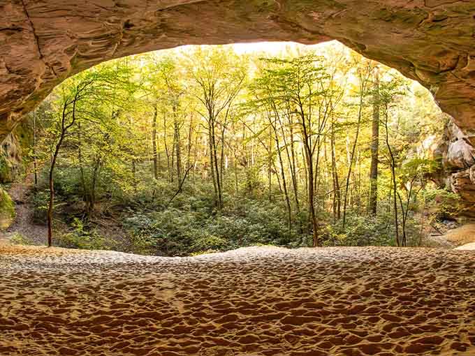 Sunlight streams through this enormous stone shelter that Native Americans called home, creating a natural amphitheater of breathtaking proportions.