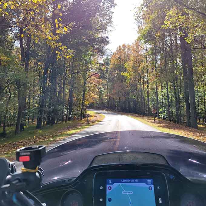 Tree-lined drives like this remind you why convertibles were invented in the first place, honestly.