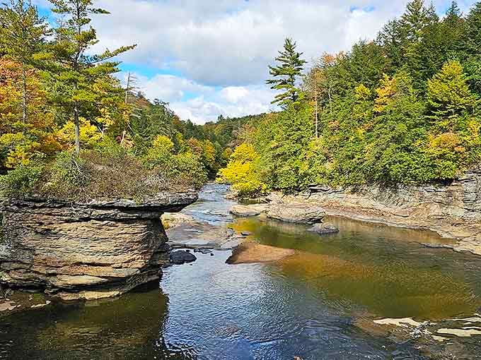 Autumn paints the rocky gorge in brilliant golds while water dances over ancient stone ledges below.