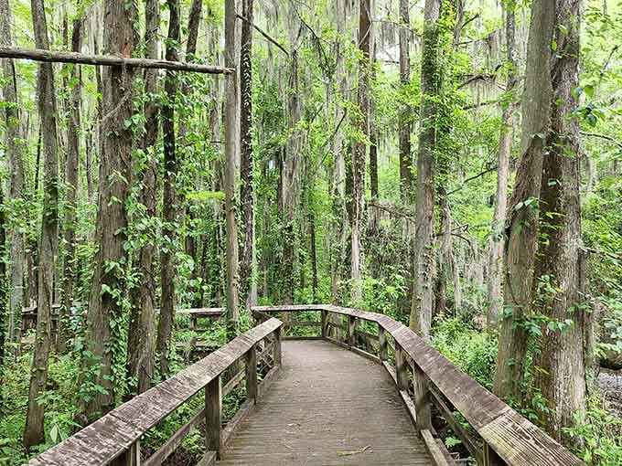 A graceful fountain sculpture rises from still waters, surrounded by winter trees that frame this peaceful lakeside moment perfectly.