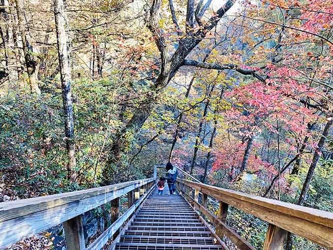 Those 600 stairs down into the gorge promise adventure and guarantee you'll feel every step tomorrow morning.