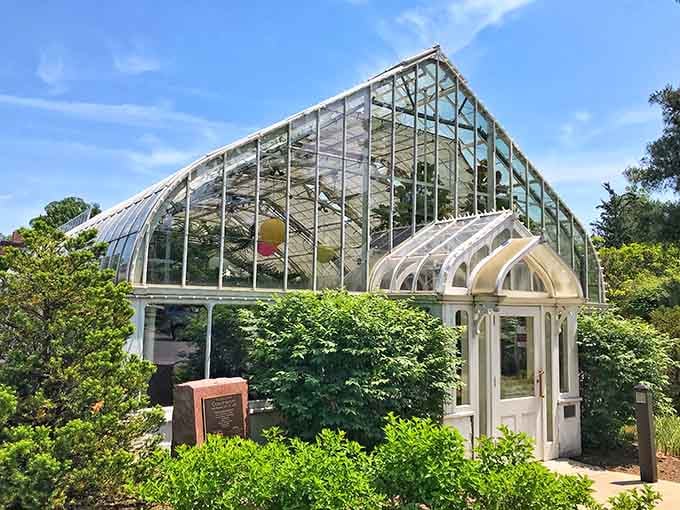 The curved glass roof sparkles in summer sunshine, promising tropical warmth and exotic plants just beyond that elegant white entrance.