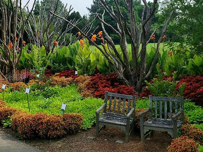 Two weathered benches offer front-row seats to nature's most colorful autumn performance in perfect harmony.