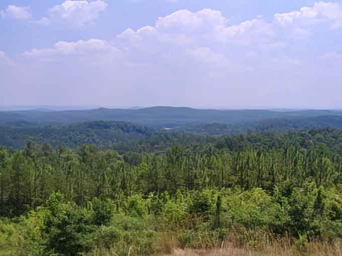 Mountains rolling into forever—this is the view that makes you remember why Sunday drives were invented.