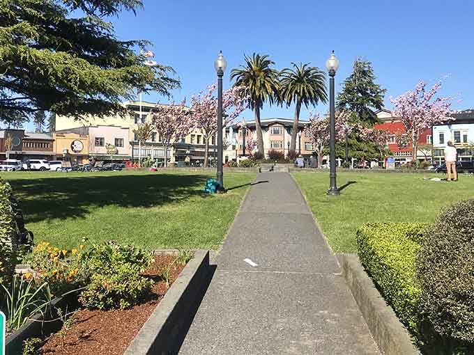 Palm-lined pathways and blooming gardens frame this welcoming plaza where community spirit flourishes under California sunshine.