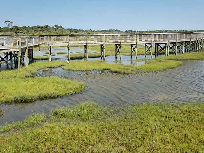 The wooden boardwalk stretches across marshland like a welcome mat to nature's living room, shoes optional.