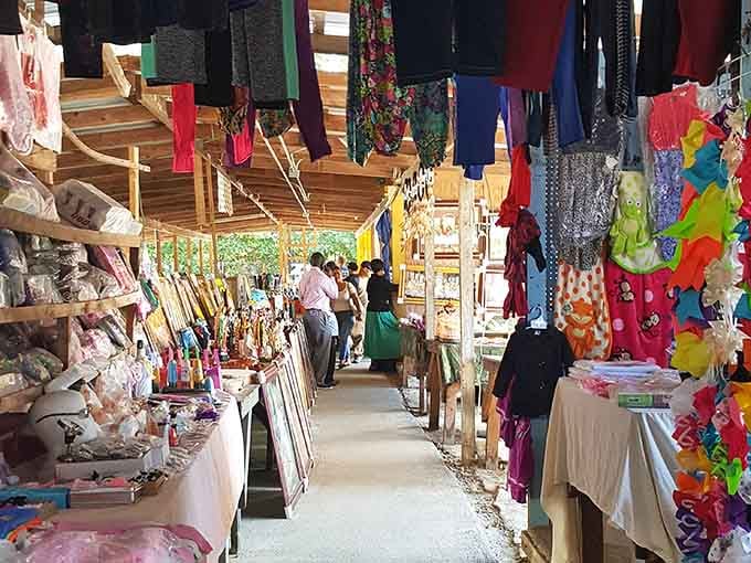 Natural light streams through this airy space where fresh produce and everyday goods create a shopper's paradise.