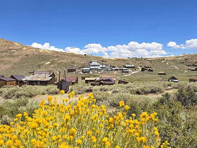 Wildflowers add cheerful yellow splashes to this ghost town where history stands still among the sagebrush.