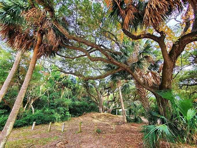 Palmettos frame this pristine lagoon where the water mirrors the sky in shades of blue you'd swear were Photoshopped.