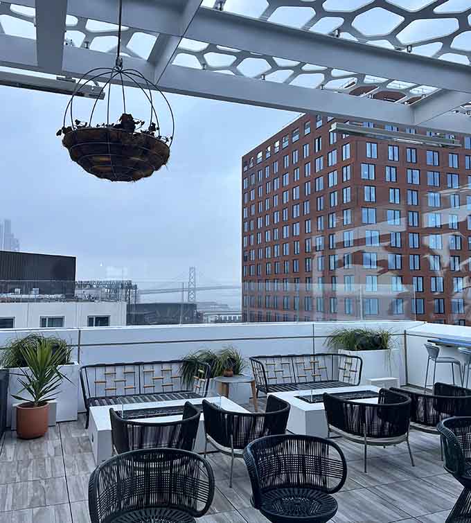 A hanging basket planter adds unexpected charm to this modern space overlooking the bay and bridge.