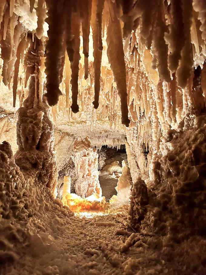 Delicate stalactites hang like frozen honey, proving patience and minerals create the most spectacular underground artwork.
