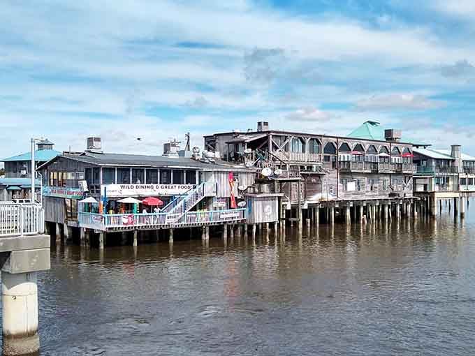 The waterfront view reminds you that some places refuse to change with the times, thankfully.