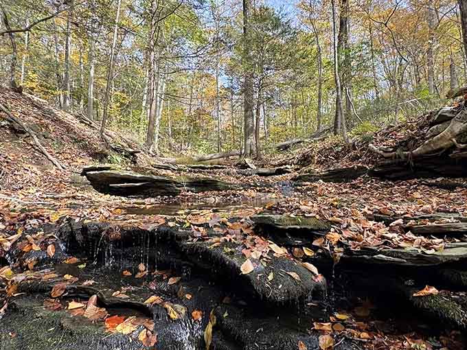 Moss-covered rocks and trickling water create a miniature canyon that feels like discovering your own secret world.