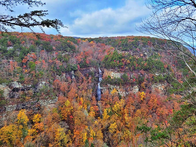 Fall transforms the canyon into a tapestry of crimson, gold, and orange&mdash;better than any painting ever created.