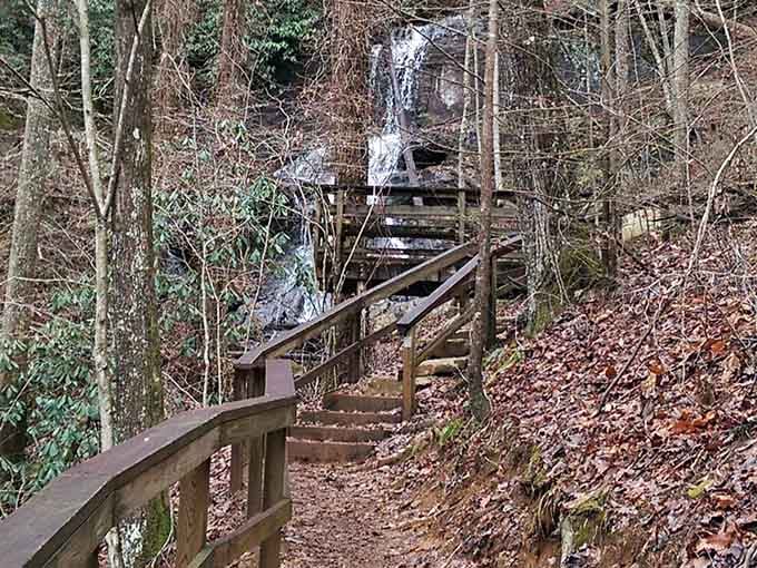 Wooden stairs lead upward through the forest toward the sound of rushing water echoing through the trees.
